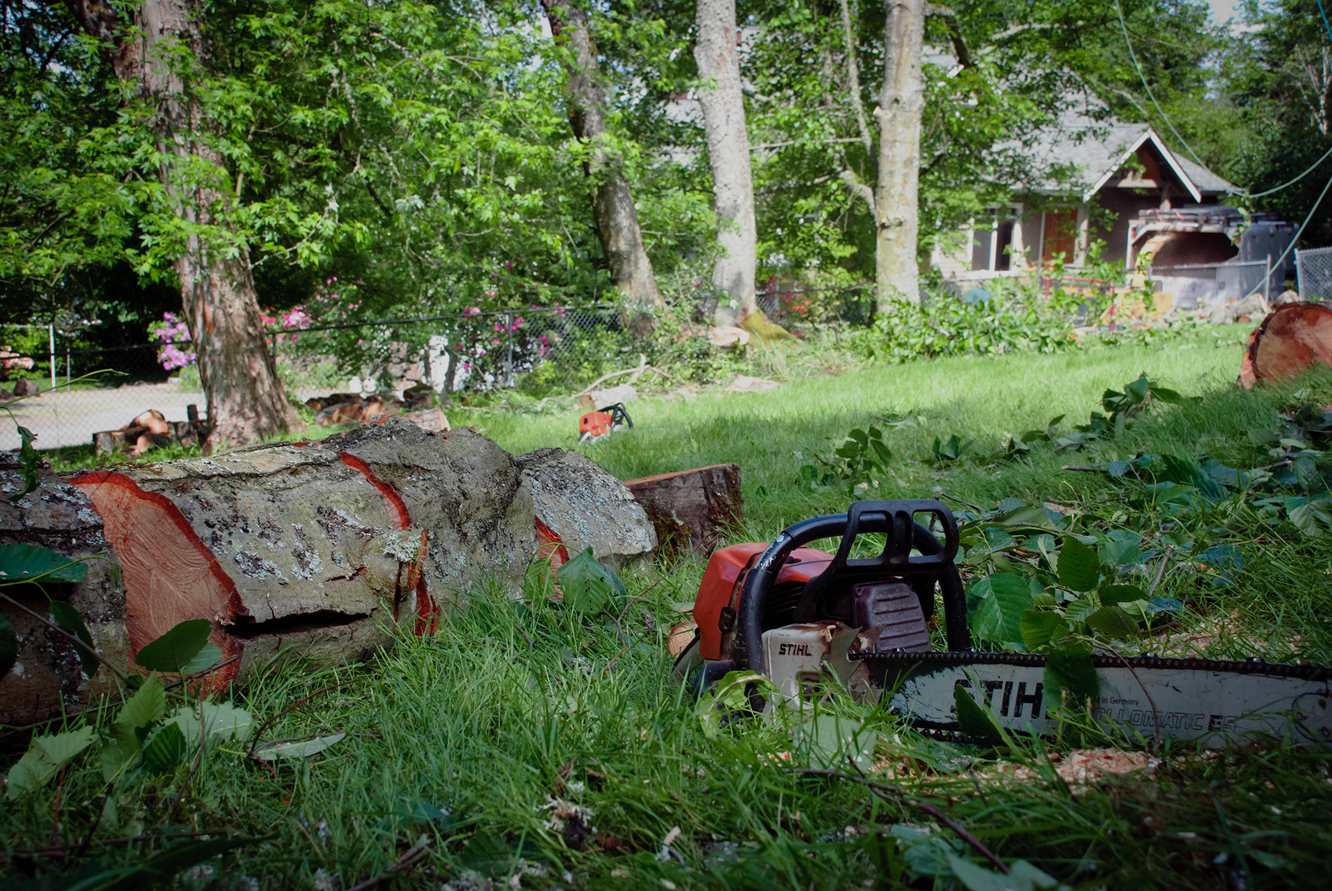 About – Blue Ribbon Tree & Landscape Specialists, Inc.